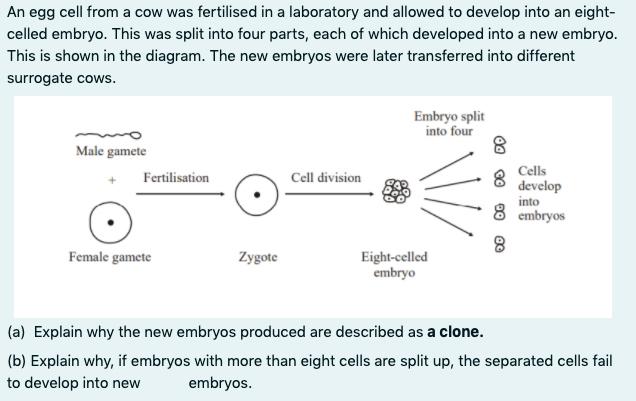 Solved An egg cell from a cow was fertilised in a laboratory | Chegg.com