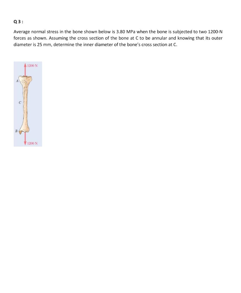Solved Q3: Average normal stress in the bone shown below is | Chegg.com