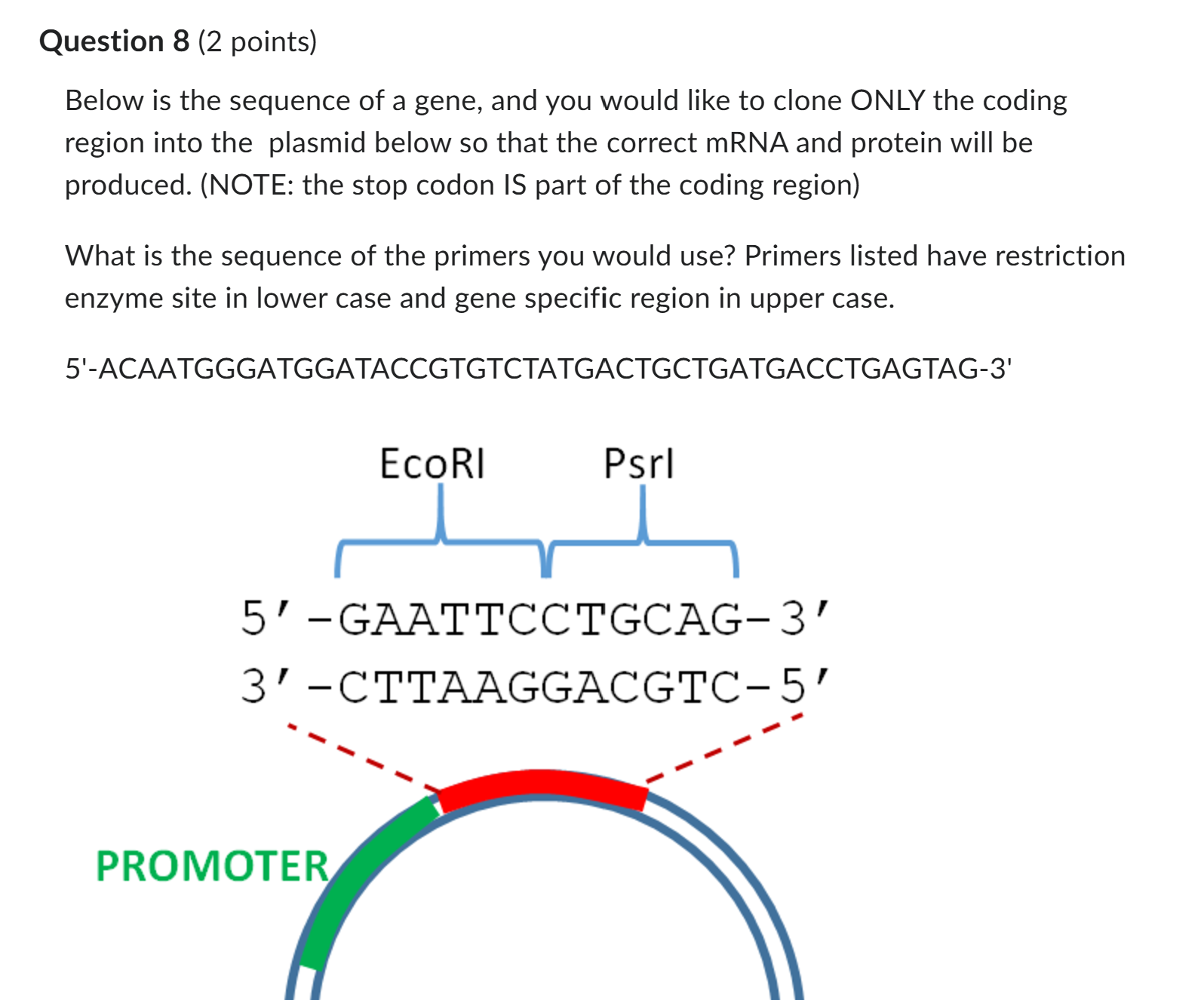 Solved by an EXPERT Below is the sequence of a gene, and you would like | Chegg.com