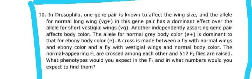 Solved 10. In Drosophila, one gene pair is known to affect | Chegg.com