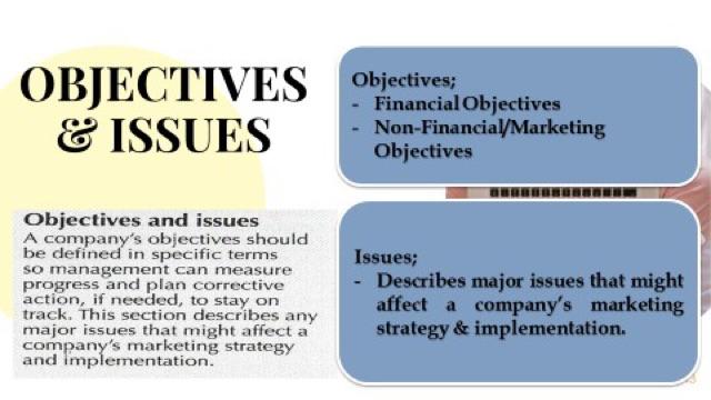 Solved OBJECTIVES Objectives ; & ISSUES - Financial | Chegg.com