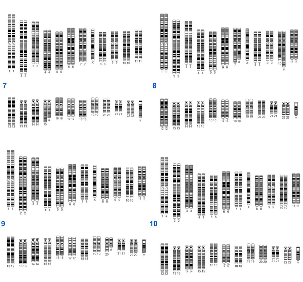 Solved Give the karyotype designation with each | Chegg.com