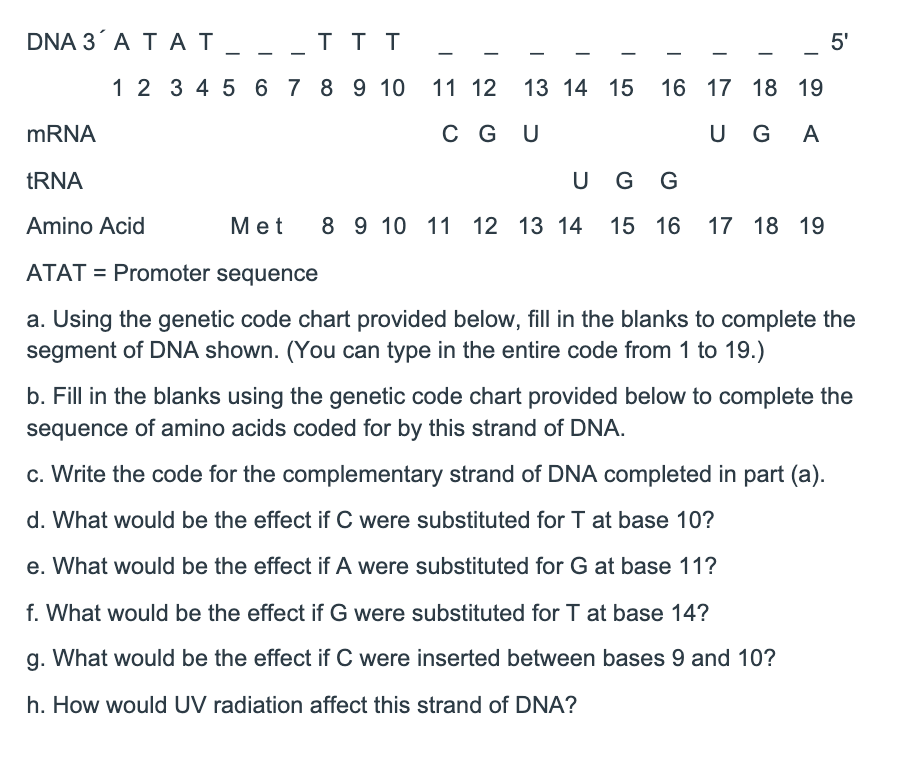 Solved DNA 3 ATAT TIT 5 1 2 3 4 5 6 7 8 9 10 11 12 Chegg