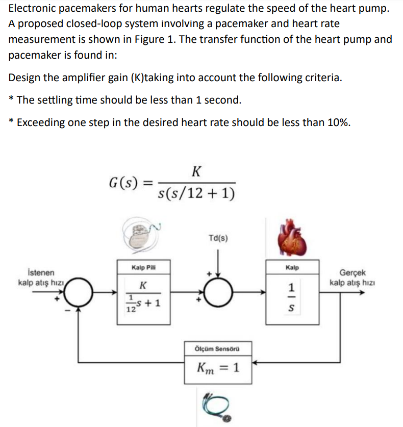 Solved Electronic pacemakers for human hearts regulate the | Chegg.com