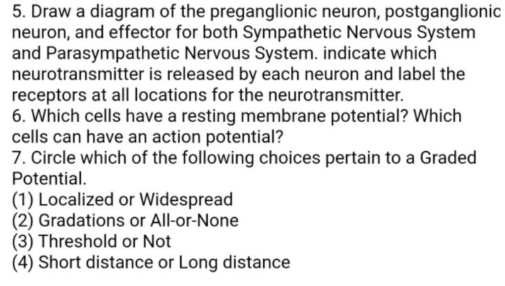 Solved 5. Draw a diagram of the preganglionic neuron, | Chegg.com