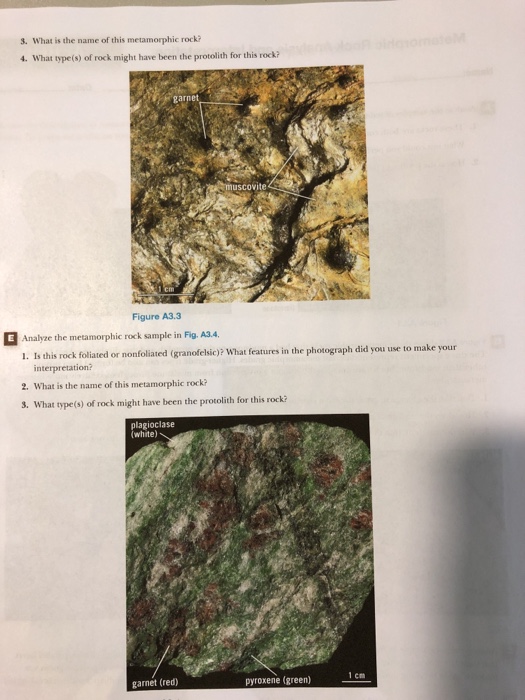 Solved Name: Course/Section: Date: A Analyze the samples of | Chegg.com