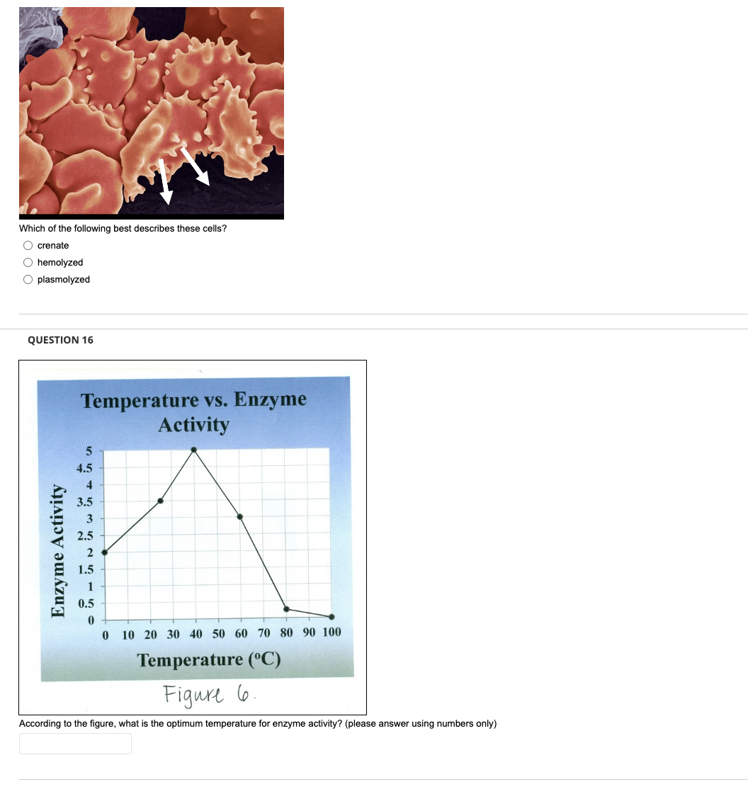 Solved According to the figure, at what temperature is the | Chegg.com