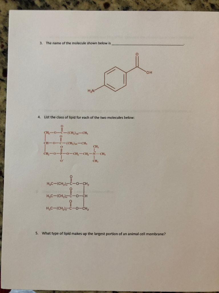 Solved Fundamentals of Organic and Biochemistry Homework 1 | Chegg.com