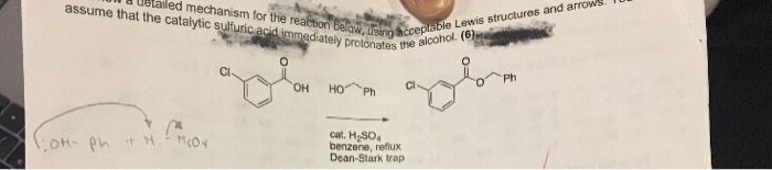 Solved assume that the catalytic sulfuric acid immediately a | Chegg.com