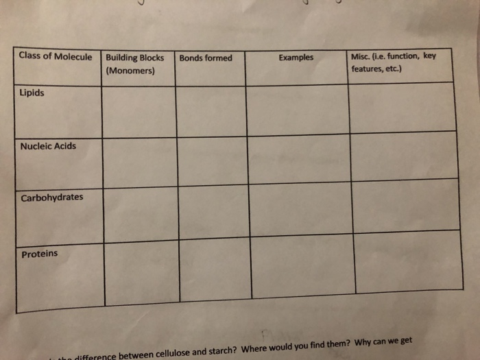 Solved Class of Molecule Building Blocks Bonds formed | Chegg.com