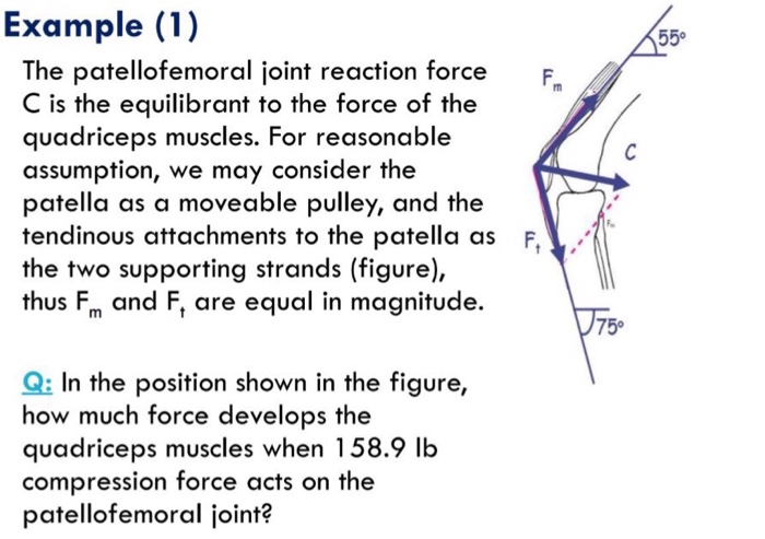 Solved Example (1) 55° The patellofemoral joint reaction | Chegg.com