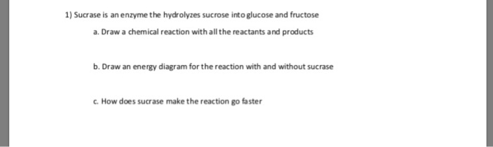 Solved 1) Sucrase is an enzyme the hydrolyzes sucrose into | Chegg.com