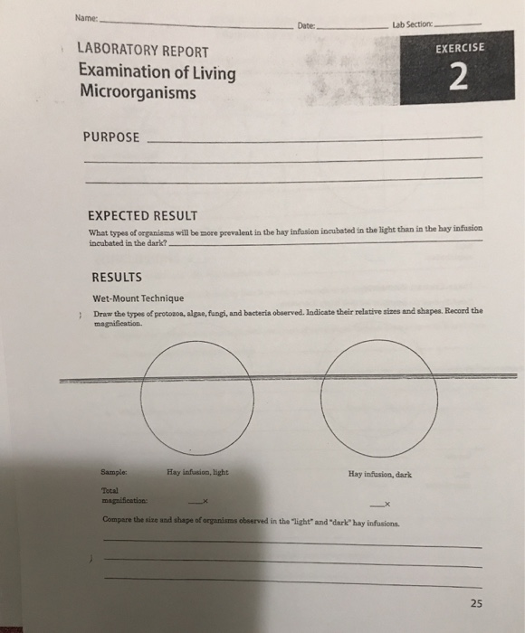 Name: Date Lab Section LABORATORY REPORT Examination | Chegg.com