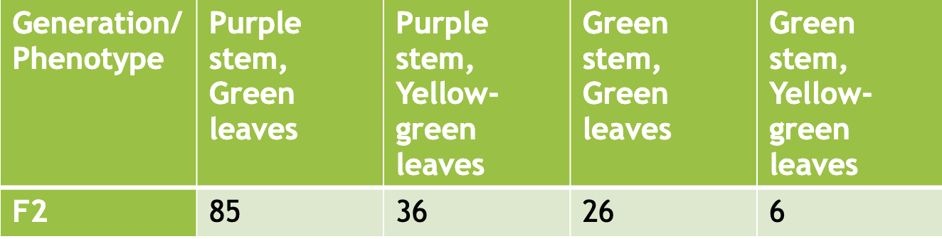 Solved Mendelian inheritance Wisconsin Fast plants Dihybrid | Chegg.com