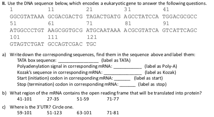 Solved Ii Use The Dna Sequence Below Which Encodes A