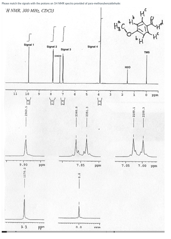 Solved Please match the signals with the protons on 1H ﻿NMR | Chegg.com