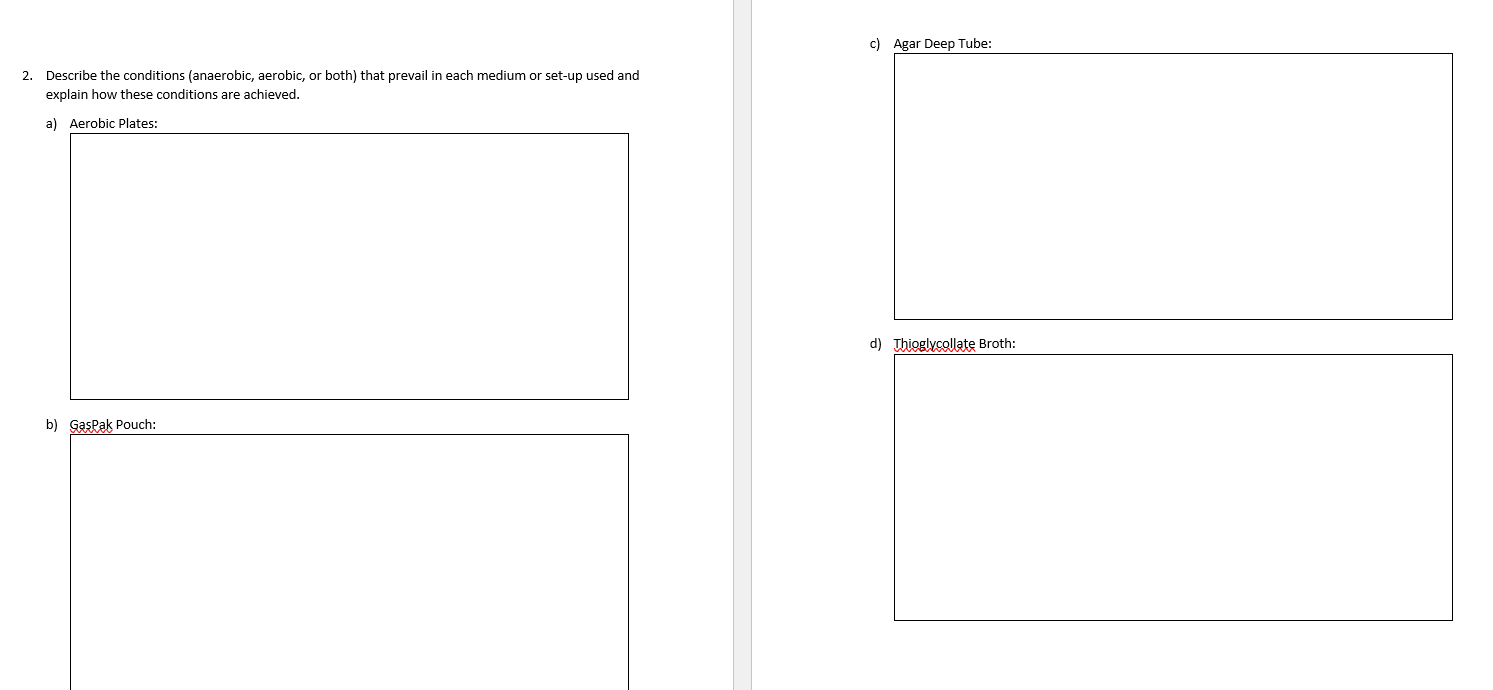 Solved c) ﻿Agar Deep Tube:Describe the conditions | Chegg.com
