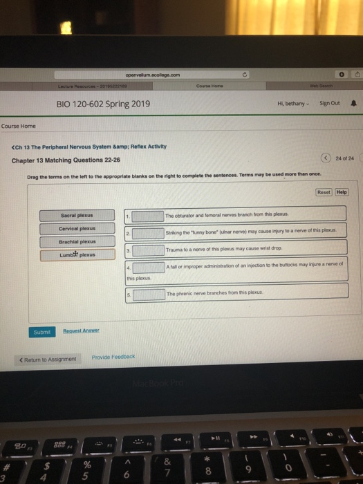 Solved BIO 120-602 Spring 2019 HIl, bethany Sign Out A | Chegg.com