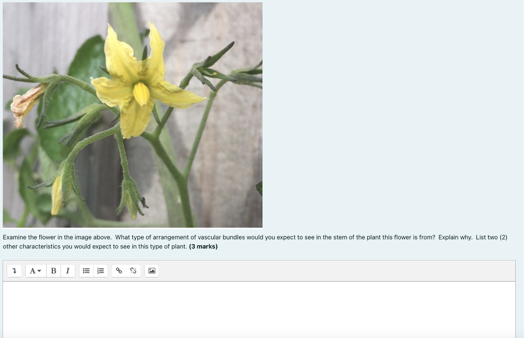 Solved Examine the flower in the image above. What type of | Chegg.com