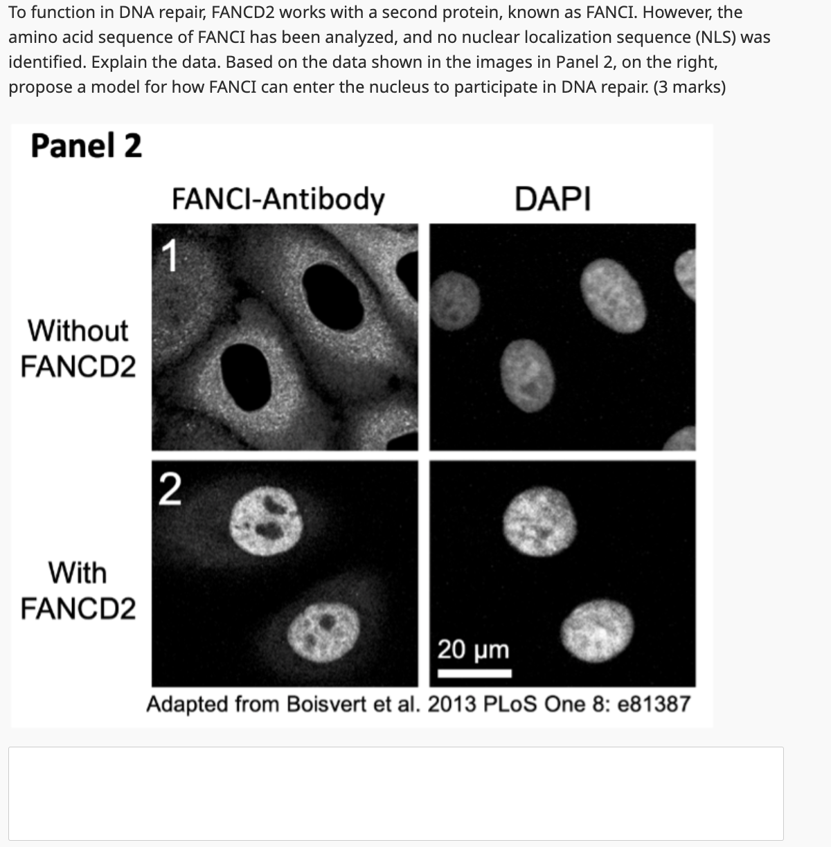 Fancd2 Online Discounted | www.gbu-presnenskij.ru