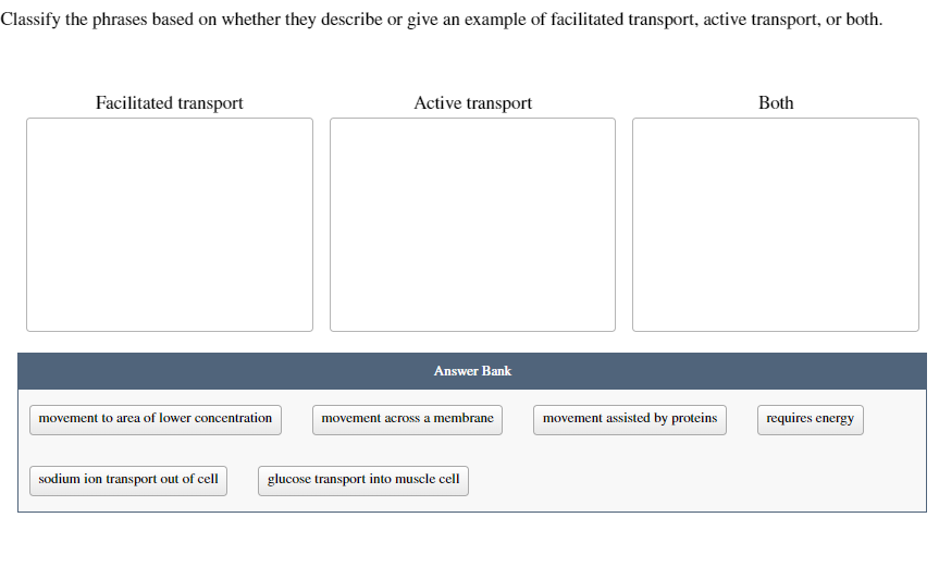 Solved Classify the phrases based on whether they describe | Chegg.com