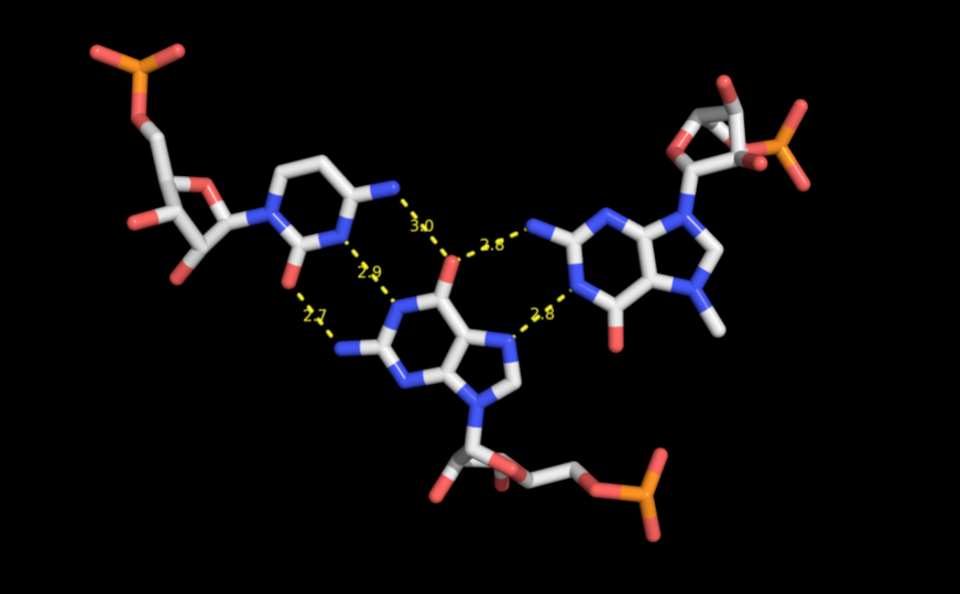 Solved What is this figure? parallel DNA, anti-parallel | Chegg.com