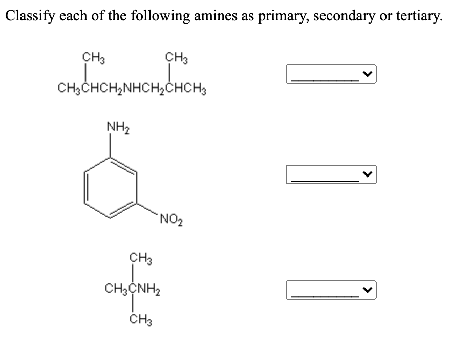 Solved Classify each of the following amines as primary, | Chegg.com