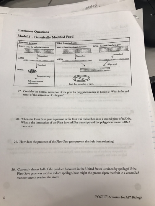 Solved Plant Hormones How do plant hormones plant gowth and | Chegg.com