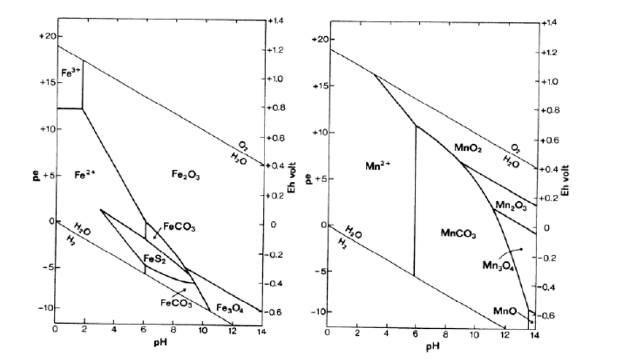 Solved An ore body contains manganosite (MnO) and magnetite | Chegg.com
