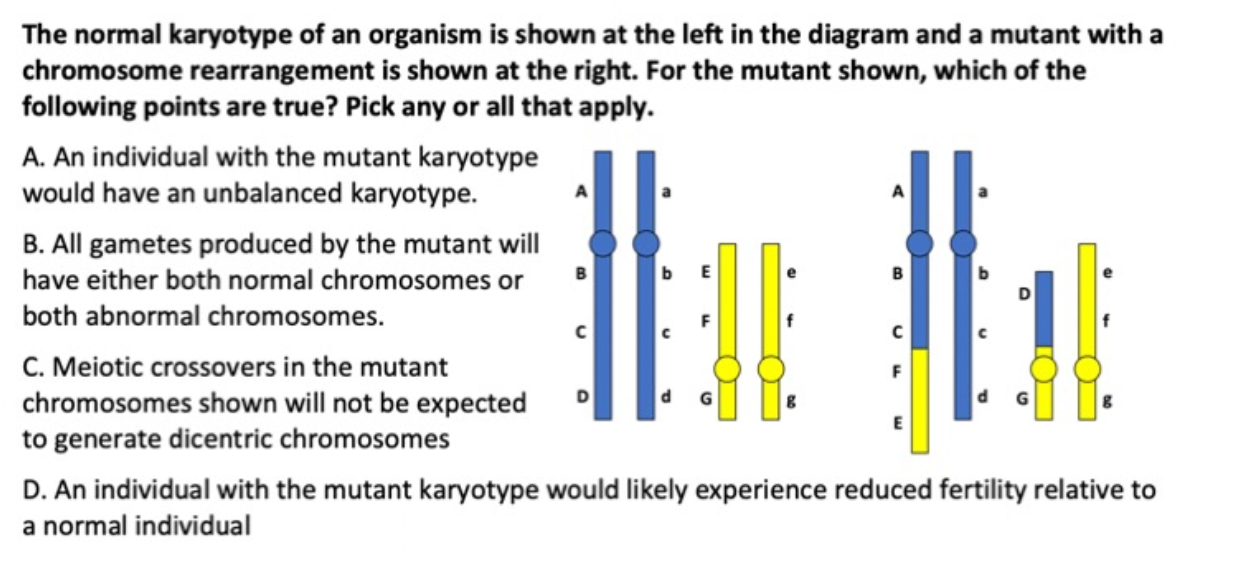 Solved The normal karyotype of an organism is shown at the | Chegg.com