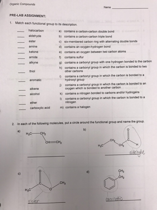 Solved Match each functional group to its description. | Chegg.com
