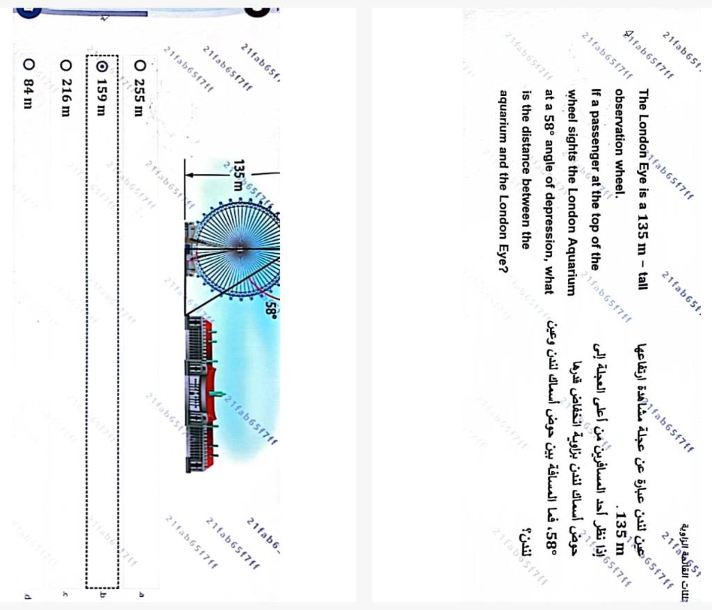 Solved The London Eye is a 135 m - tall observation wheel. | Chegg.com
