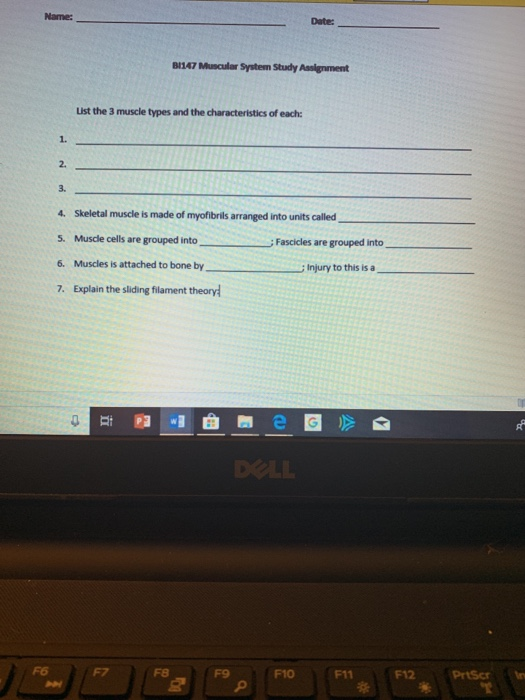 Solved Name: Date: 147 Muscular System Study Assignment List | Chegg.com