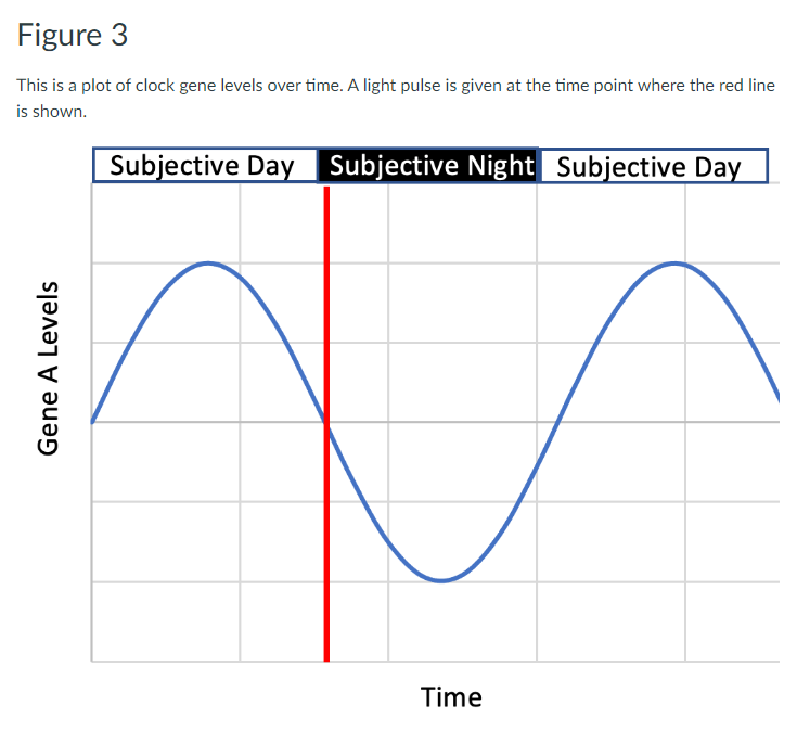 Use the phase response curve to answer the | Chegg.com
