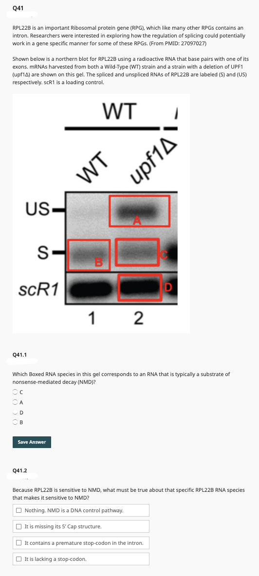 Solved What are the answers to the multiple choice | Chegg.com
