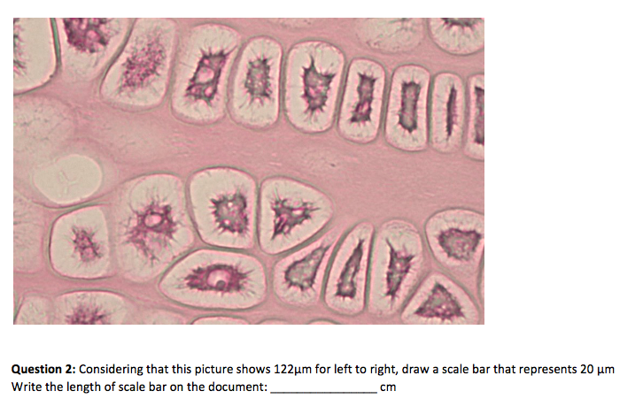 Solved 2001 Question 2: Considering that this picture shows | Chegg.com