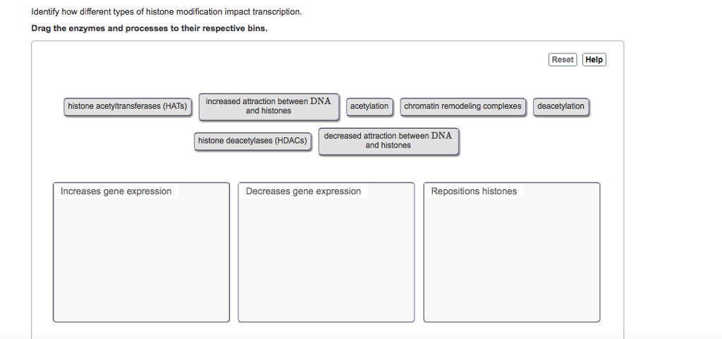 Solved ldentify how different types of histone modification | Chegg.com