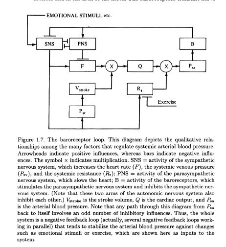 The model of the controlled circulation in Section | Chegg.com