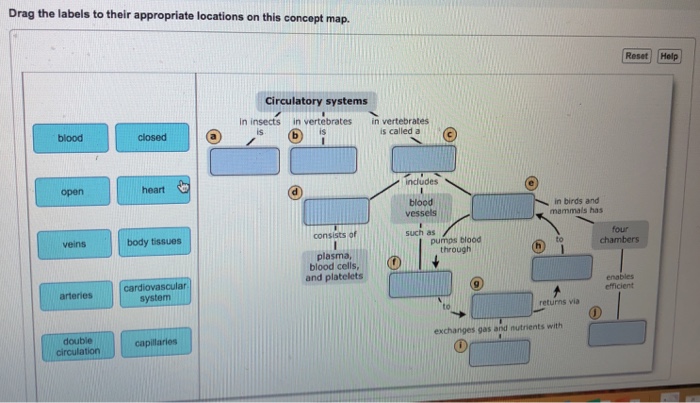 Solved Drag the labels to their appropriate locations on | Chegg.com