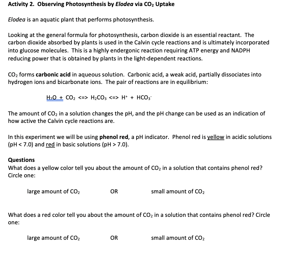 Activity 2. Observing Photosynthesis by Elodea via | Chegg.com