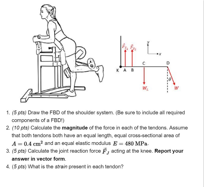 Solved Question 8 25 pts Consider the person conducting a | Chegg.com