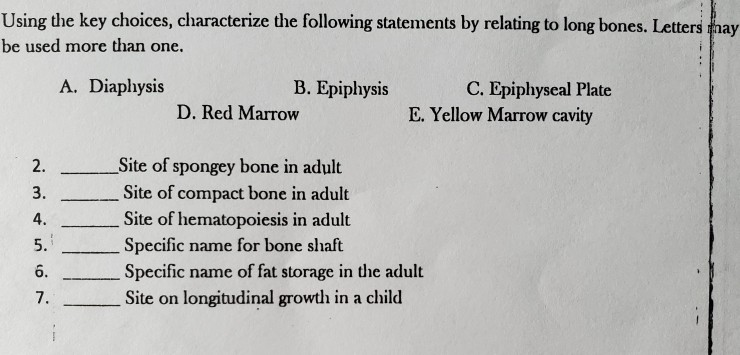 Solved Using the key choices, characterize the following | Chegg.com