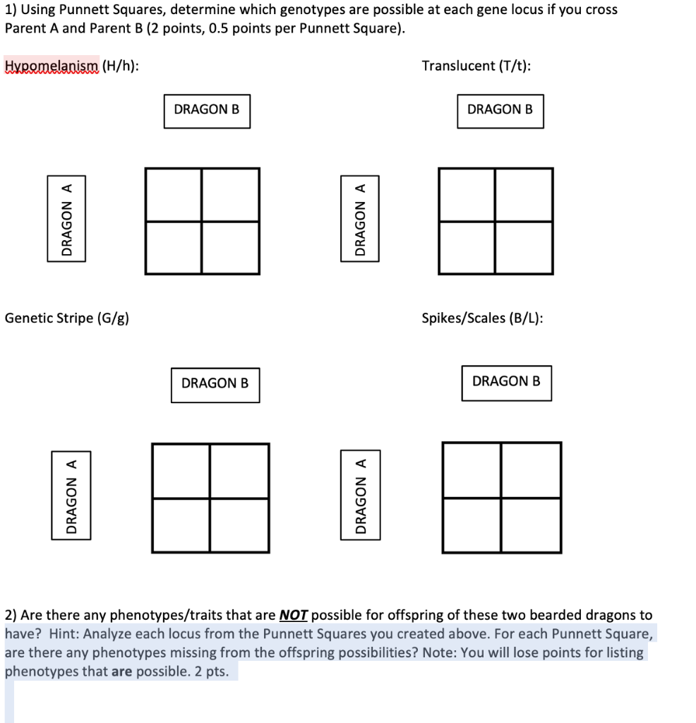 Solved Bearded Dragons can have multiple unique traits and | Chegg.com