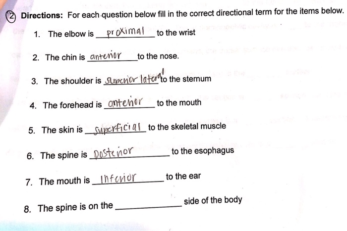 Solved Directions: For each question below fill in the | Chegg.com