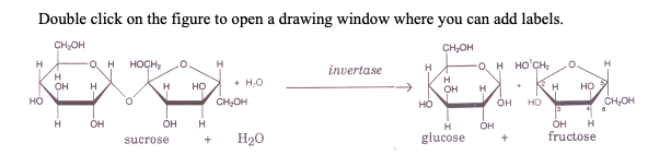 Solved invertase which we shall use in this experiment was | Chegg.com