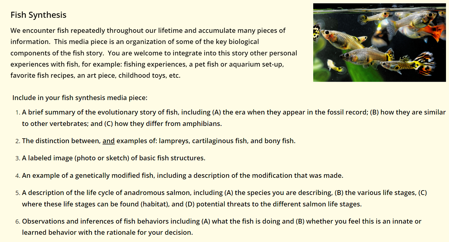 Fish Synthesis We encounter fish repeatedly | Chegg.com