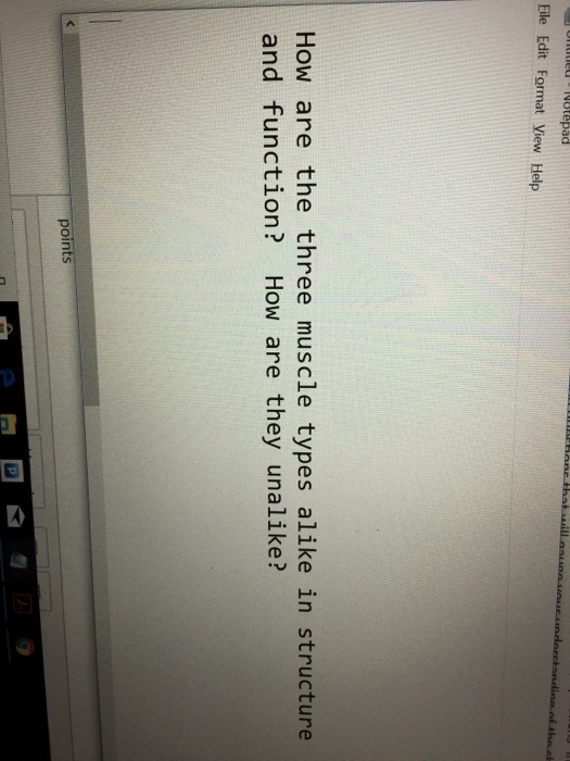 Solved Eile Edit Format View Help How are the three muscle | Chegg.com