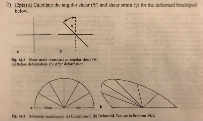 Solved 2) (2pts) a) Calculate the angular shear (P) and | Chegg.com