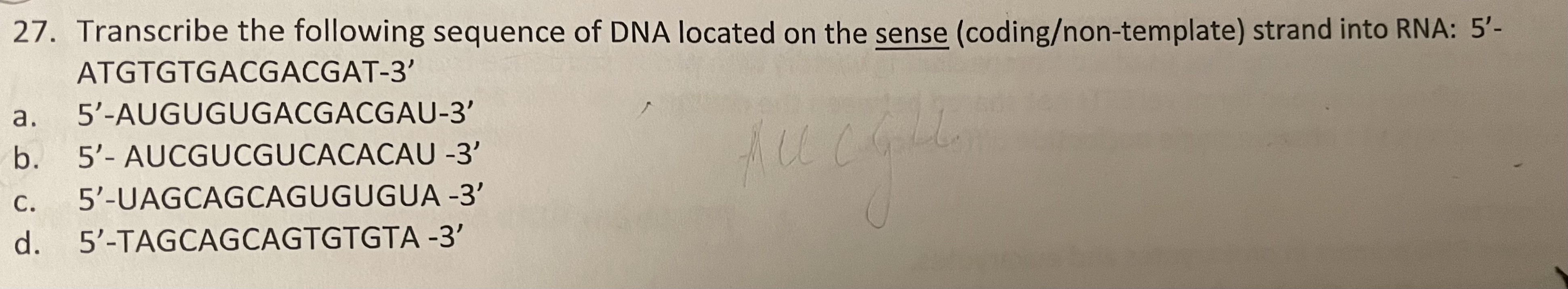 Solved 27. Transcribe the following sequence of DNA located | Chegg.com