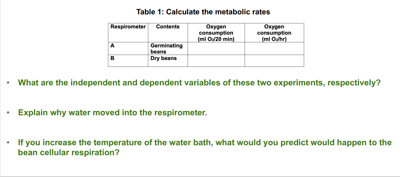 Table 1: Calculate the metabolic rates - What are the | Chegg.com